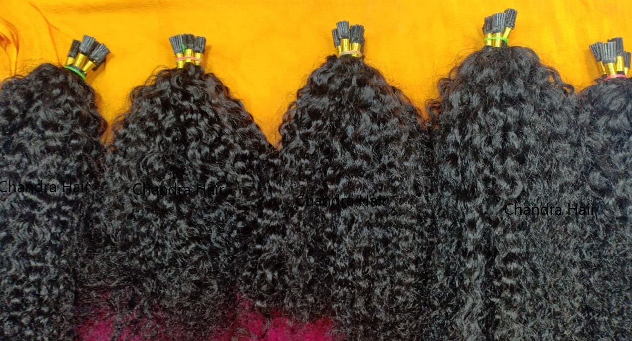 Where to Buy South Indian Raw Hair Kinky Curly Microlinks – Chandra Hair